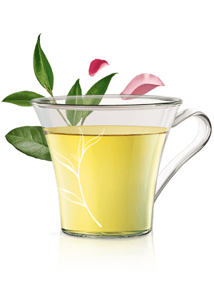 Theemachine & thee capsules - SPECIAL.T by Nestlé